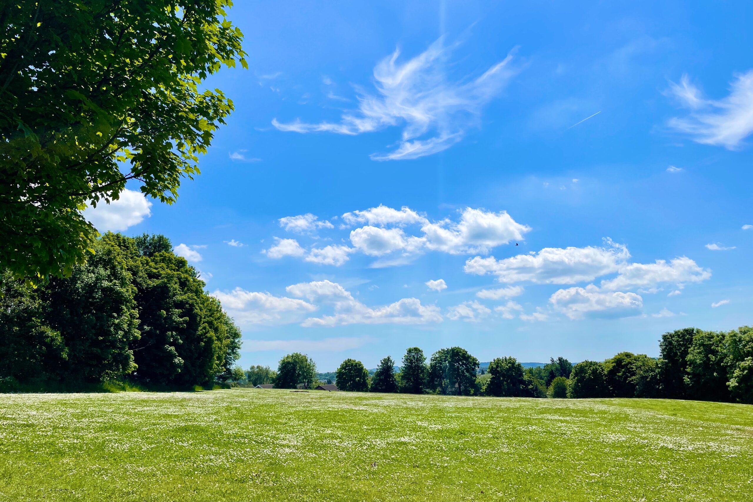 ひとり散策で五感を取り戻す｜KOMA NOTE